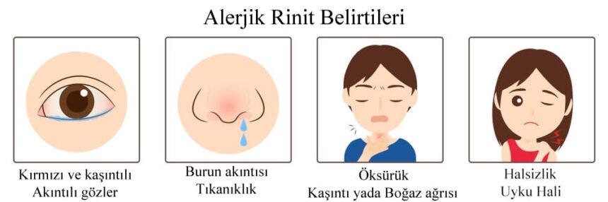 Alerjik Rinit Nedir? Nedenleri, Belirtileri ve Tedavisi • Nen Var