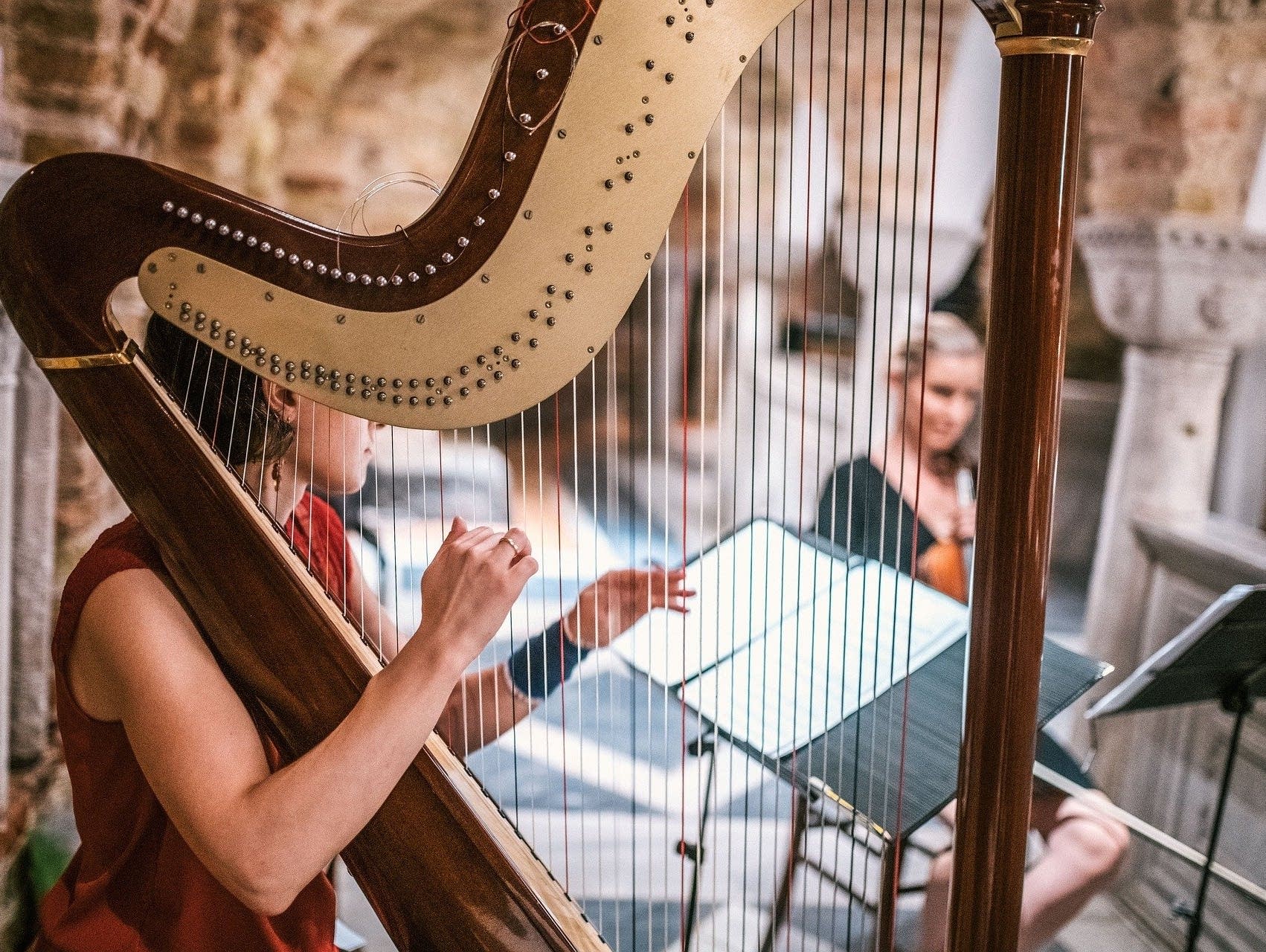 Telli Çalgılar Nelerdir? Telli Çalgı İsimleri & Çeşitleri • Nen Var
