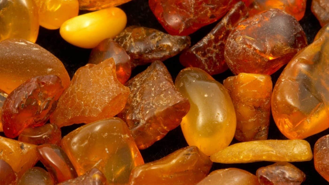 Kehribar Taşı: Kehribar Nedir? Ne İşe Yarar? Faydaları? • Nen Var